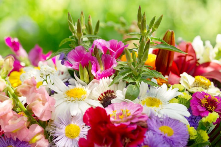 The Best Flowers to Include in Your August Arrangement - Dallas House ...